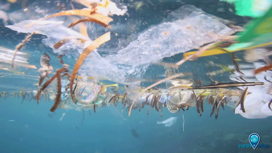 Reviving #TrashTag – Earth First